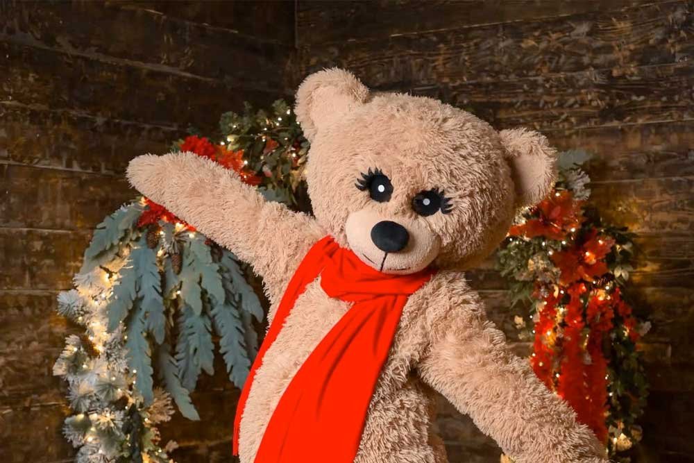 Maskota za proslave Jagodina